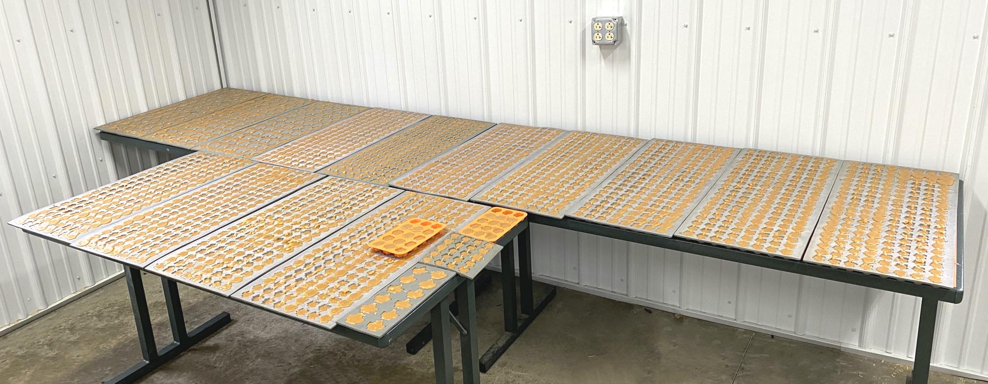 Nova Maple Syrup | Record Candy Day